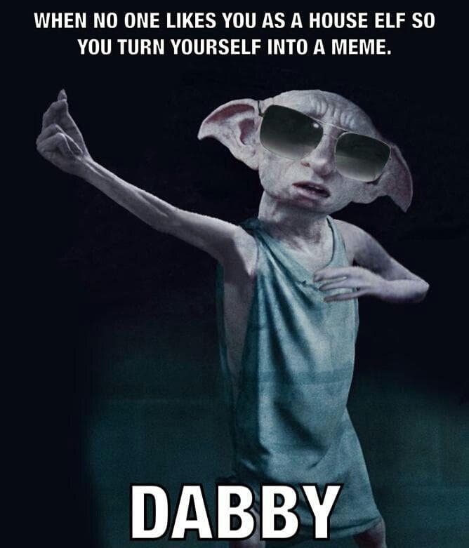 18 Memes For 'Harry Potter' Fans Who Thought Dobby Was The Real Star
