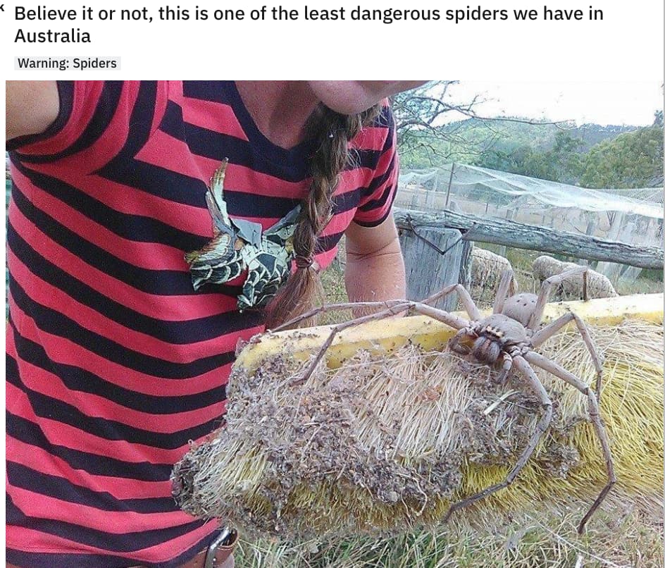 20 Terrifying Images That Made Us Say, 'Damn Australia, You Scary'