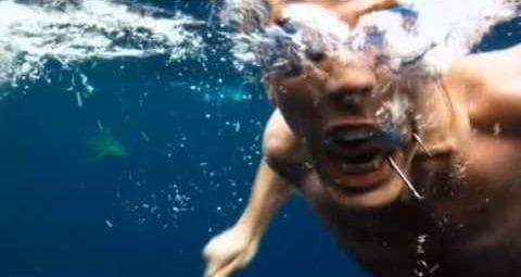 The Gnarliest Stunts Steve-O Stunts From 'Jackass'