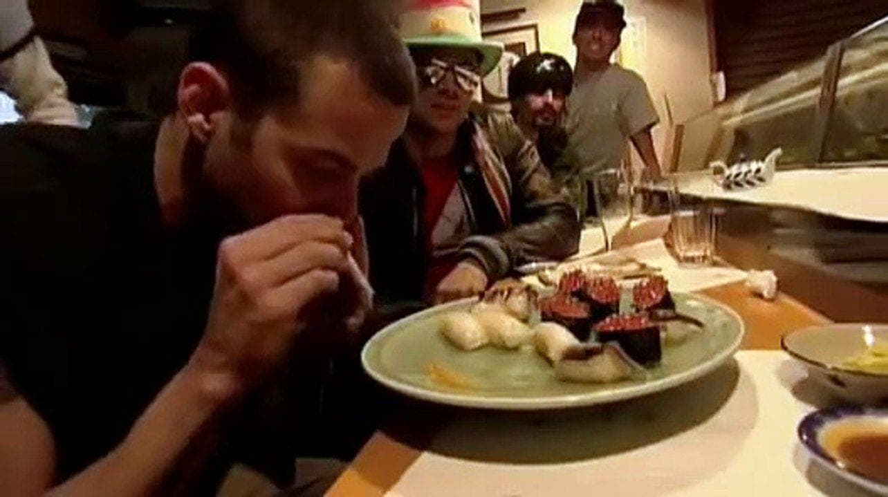 The Gnarliest Stunts Steve-O Stunts From 'Jackass'