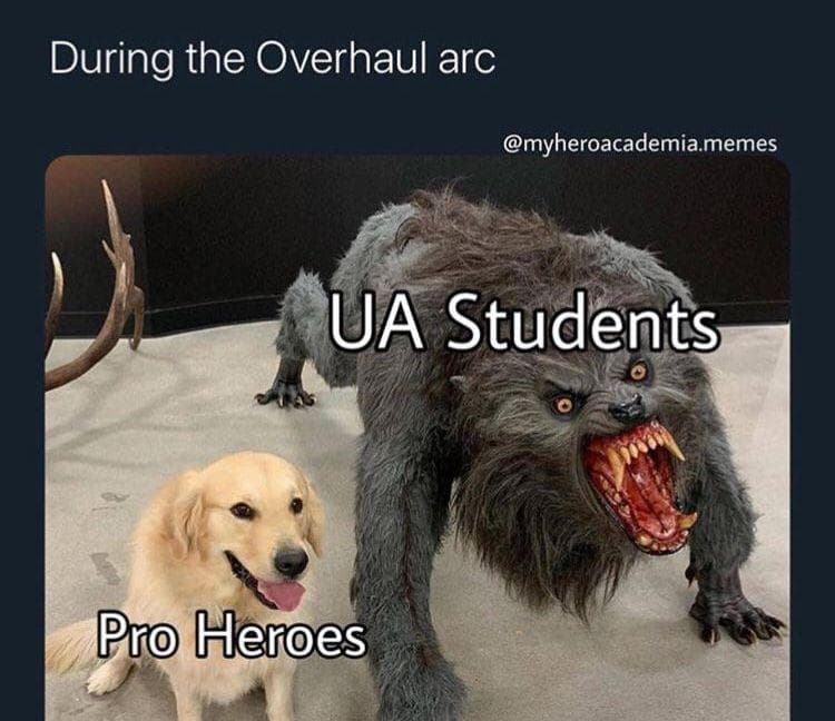 25 Hilarious Memes About Pro Heroes In MHA