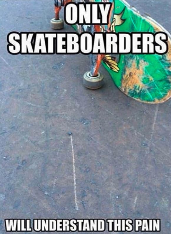 33 Spicy Skate Memes To Prove To Your Friends That You're Not A Poser