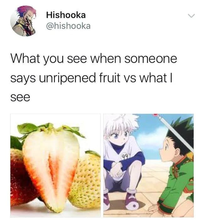 18 Hilarious Memes About Hisoka That Prove Bungee Gum Is The Best Power