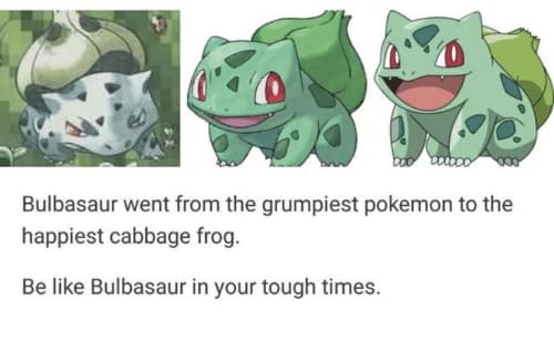 21 Memes For People Who Know Bulbasaur Is The Best Starter Ever
