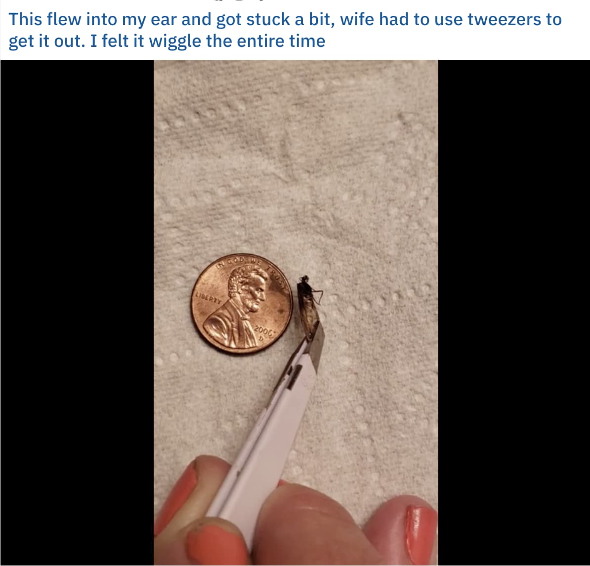 Subtly Horrifying Images That We Can't Get Out Of Our Heads