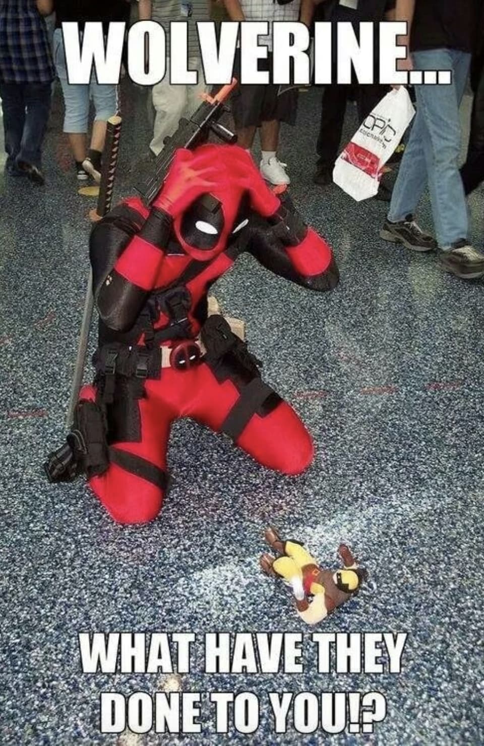 Hilarious Wolverine Memes Even Deadpool Would Laugh At