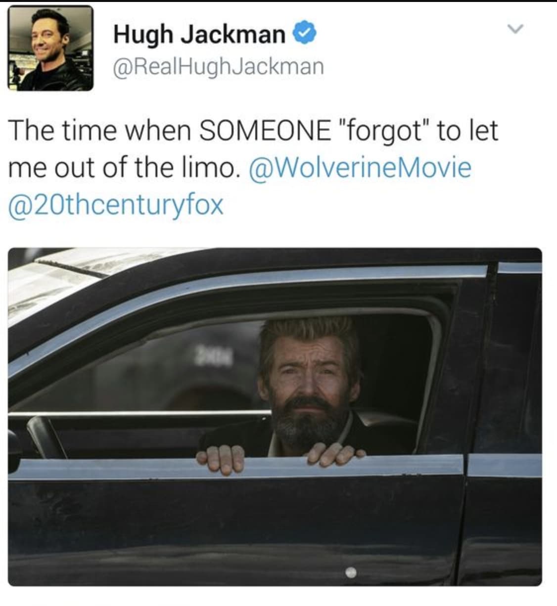 Hilarious Wolverine Memes Even Deadpool Would Laugh At