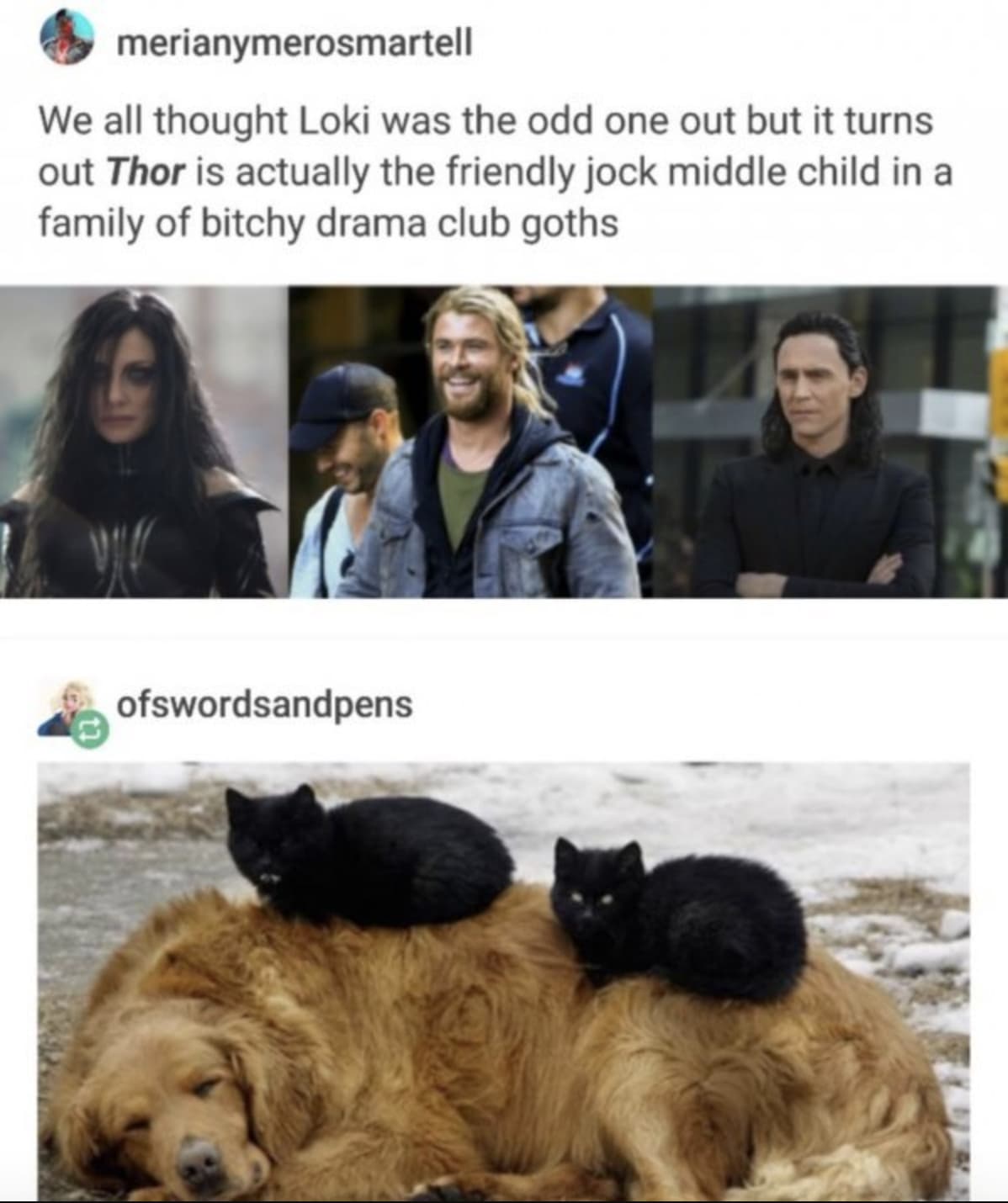 23 Posts That Prove Loki Should Be The God Of Memes