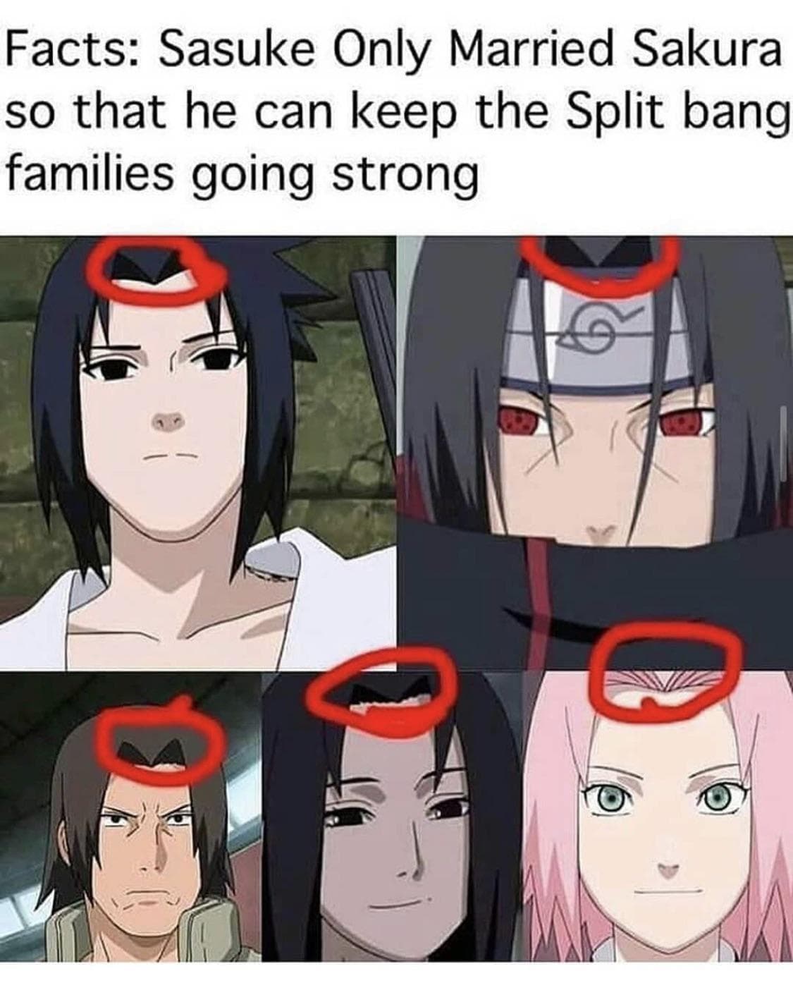 Sasuke Y Sakura Memes