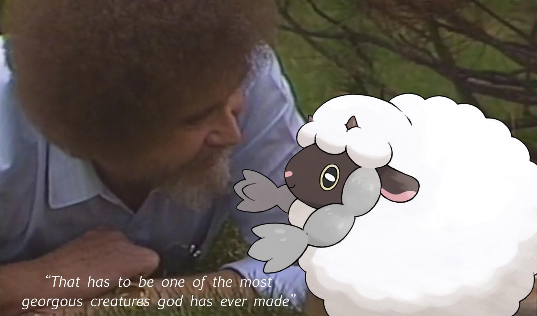 18 Memes That Prove Wooloo Is The Most Adorable Pokémon Ever