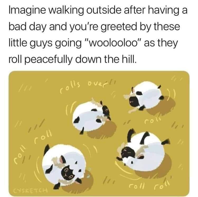 18 Memes That Prove Wooloo Is The Most Adorable Pokémon Ever