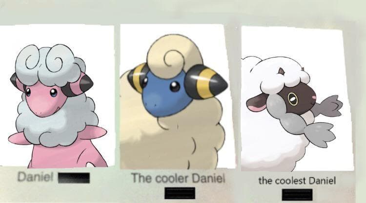 18 Memes That Prove Wooloo Is The Most Adorable Pokémon Ever