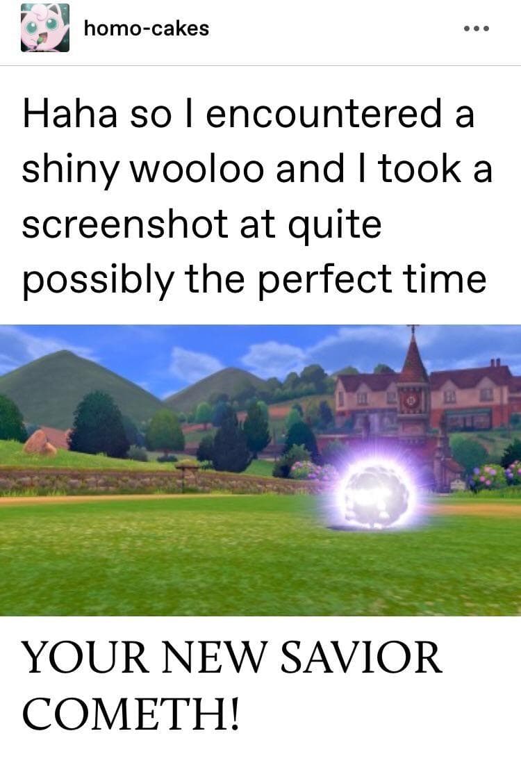 18 Memes That Prove Wooloo Is The Most Adorable Pokémon Ever