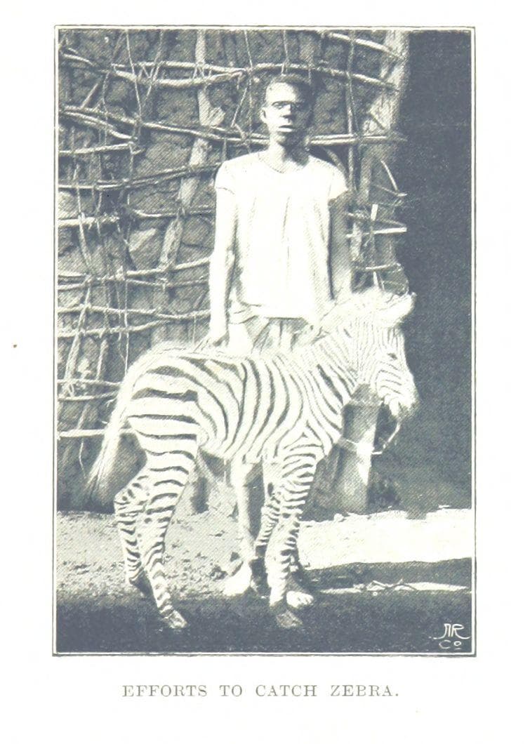 The British Library Released 1 Million Fascinating Historical Images ...