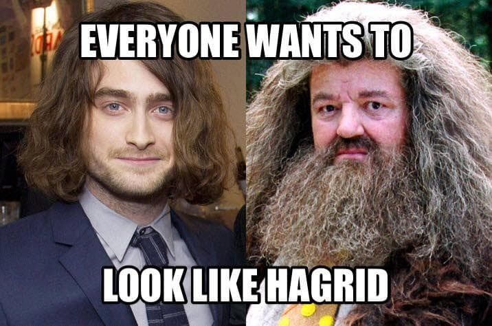 Rubeus Hagrid Harry Potter Memes