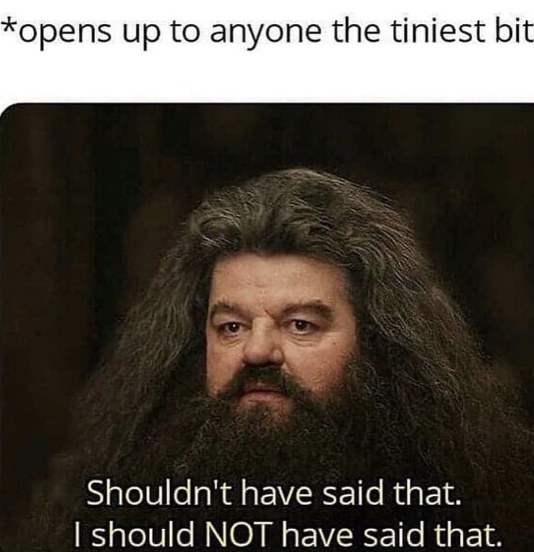 Rubeus Hagrid Harry Potter Memes