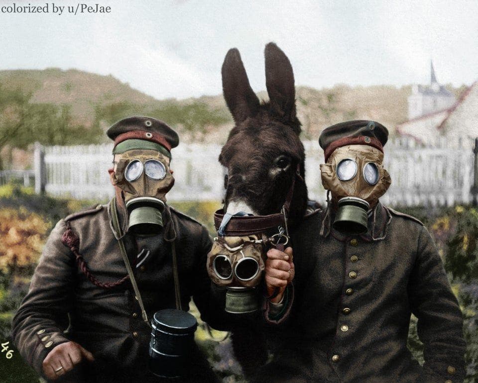 Colorized Historical Photos