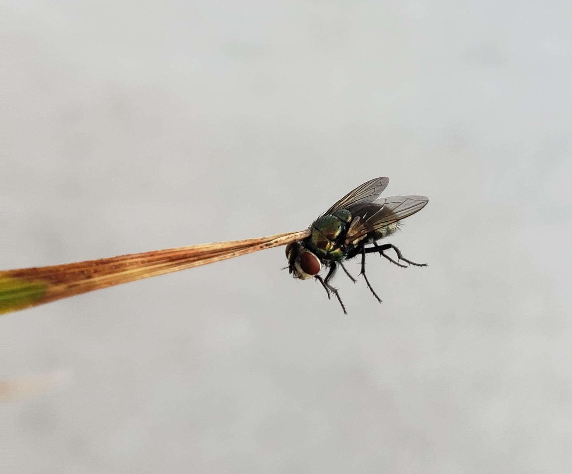 Random But Awesome Images That Made Us Say 'Damn, That's Interesting'