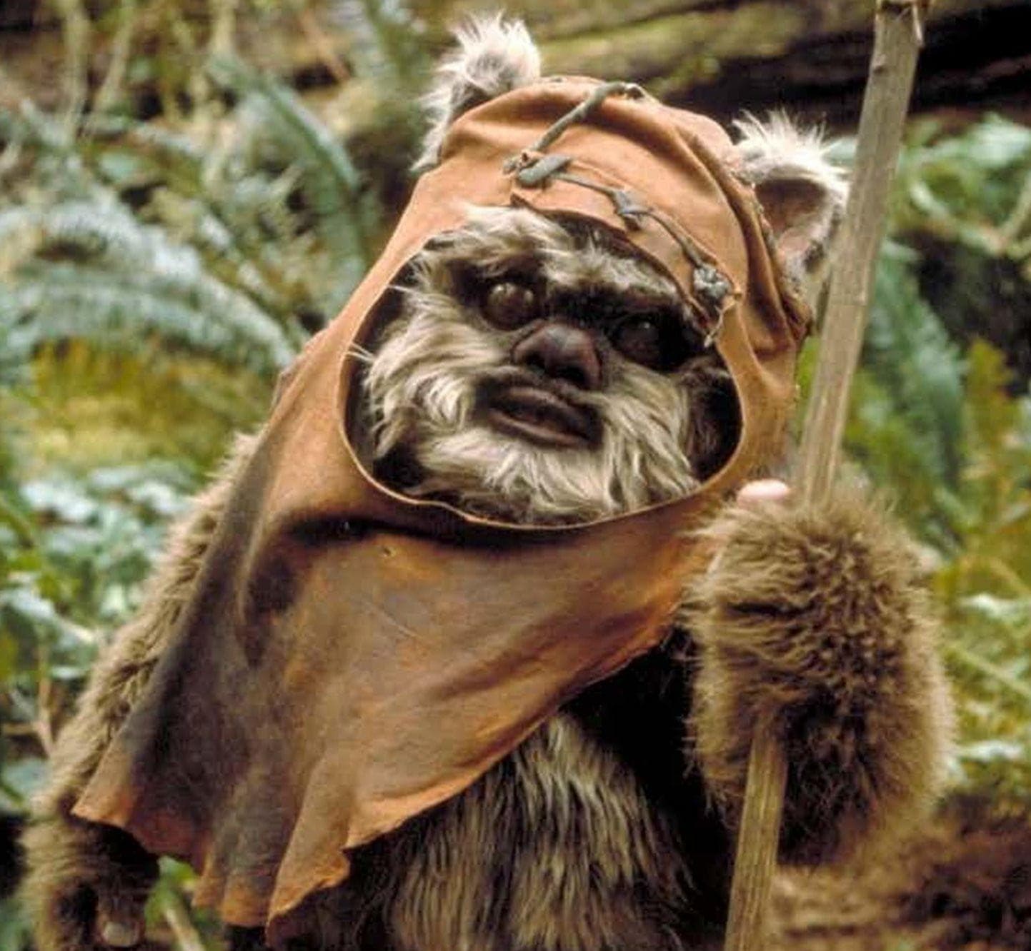 25 Things You Didn't Know About The Original Star Wars Trilogy