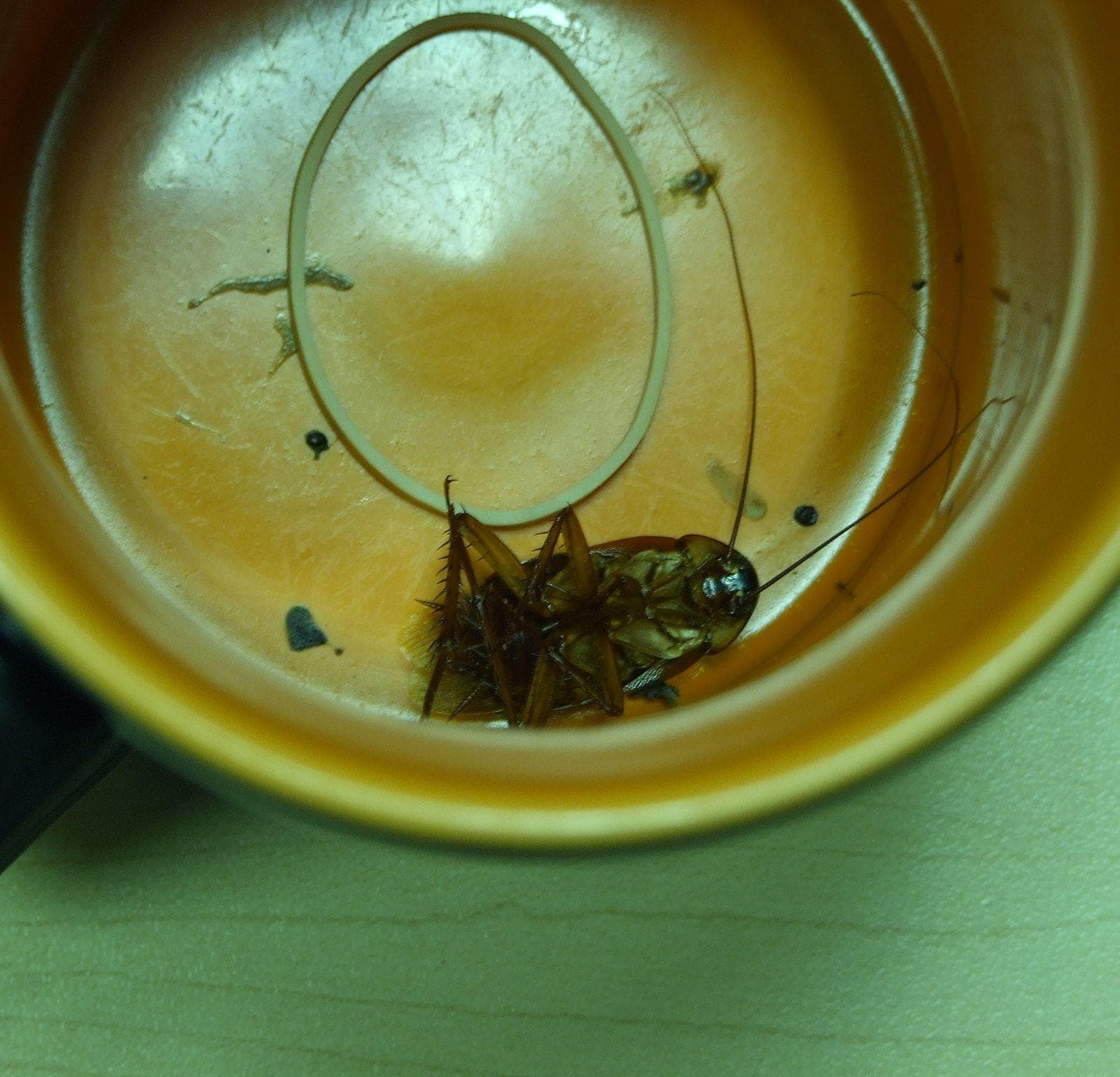 20 Facts That Are Not Very Fun