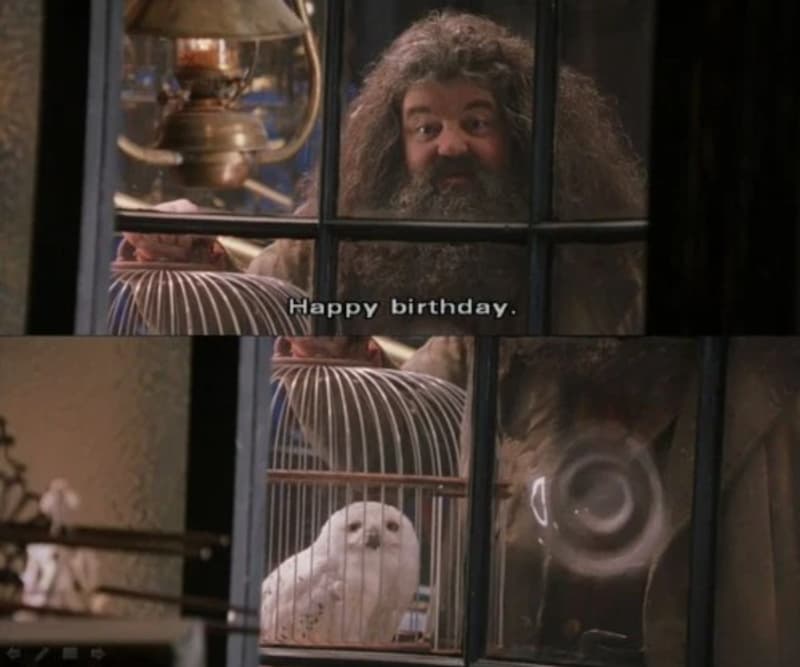 16 Hagrid Moments That Prove Why He's The Best Comfort Character