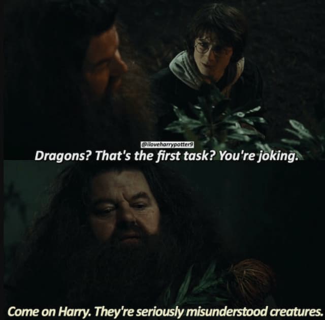 16 Hagrid Moments That Prove Why He's The Best Comfort Character