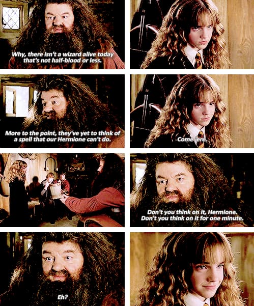 16 Hagrid Moments That Prove Why He's The Best Comfort Character