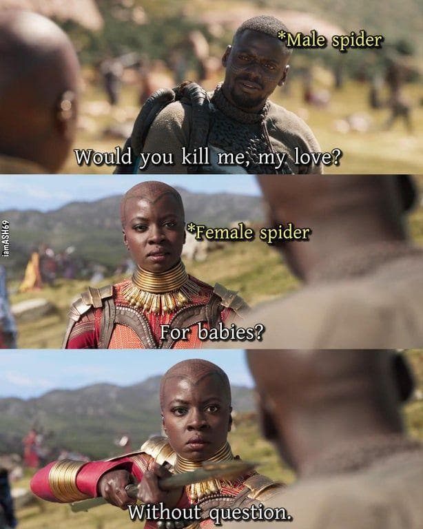 20 Memes Celebrating The Women Of The Marvel Cinematic Universe