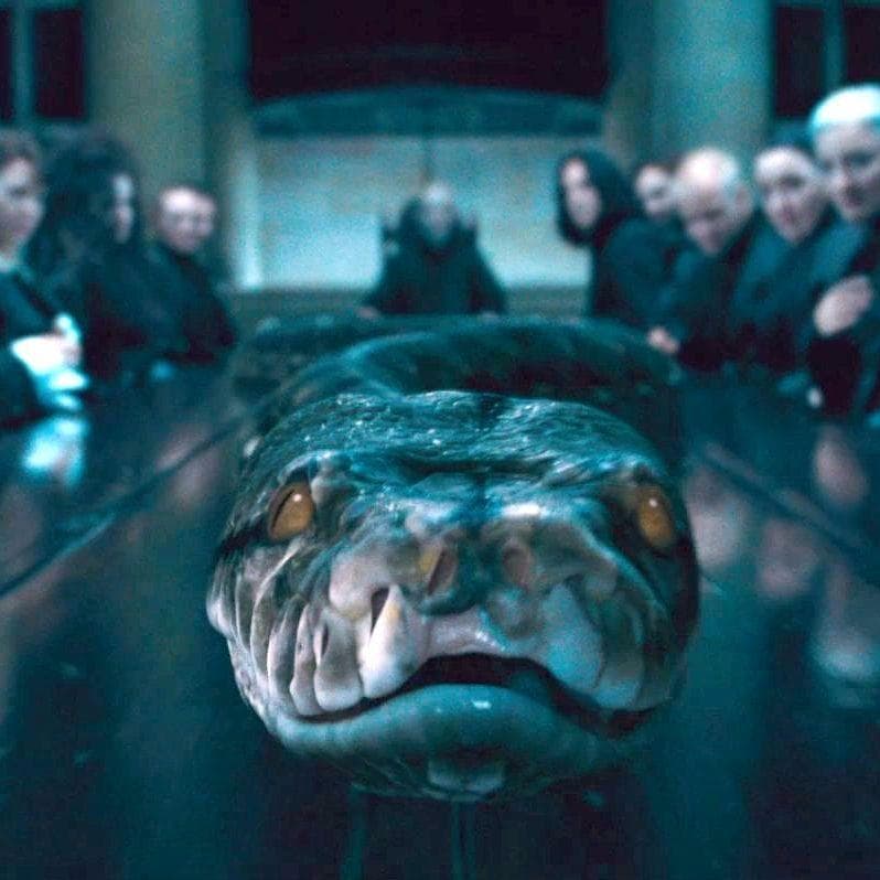 Darkest Harry Potter Spells, Hexes, and Curses, Ranked