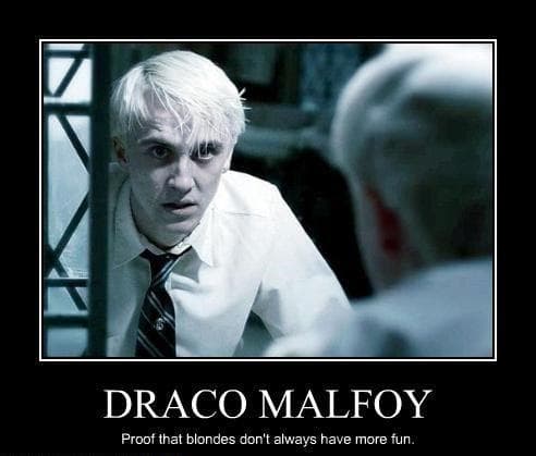 19 Draco Malfoy Memes That Father Will Be Hearing About
