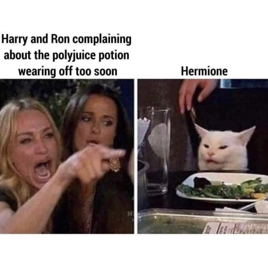 The Best Hermione Granger Memes Out There