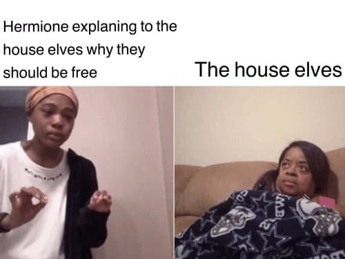 The Best Hermione Granger Memes Out There