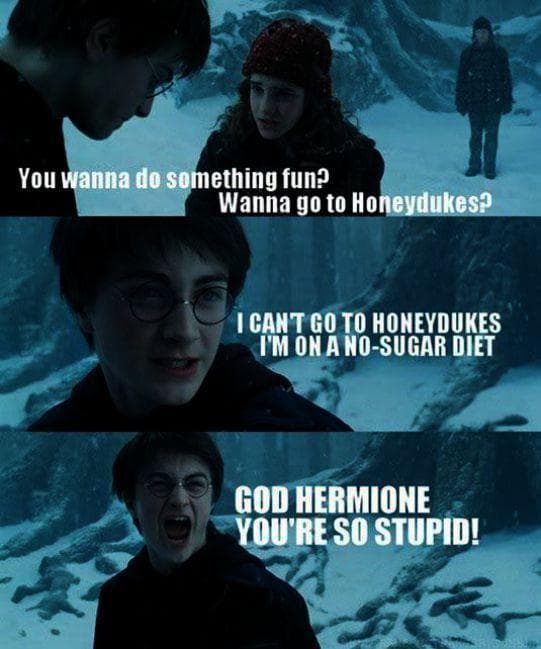 The Best Hermione Granger Memes Out There