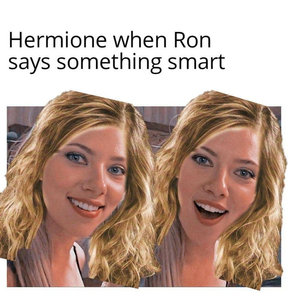 The Best Hermione Granger Memes Out There