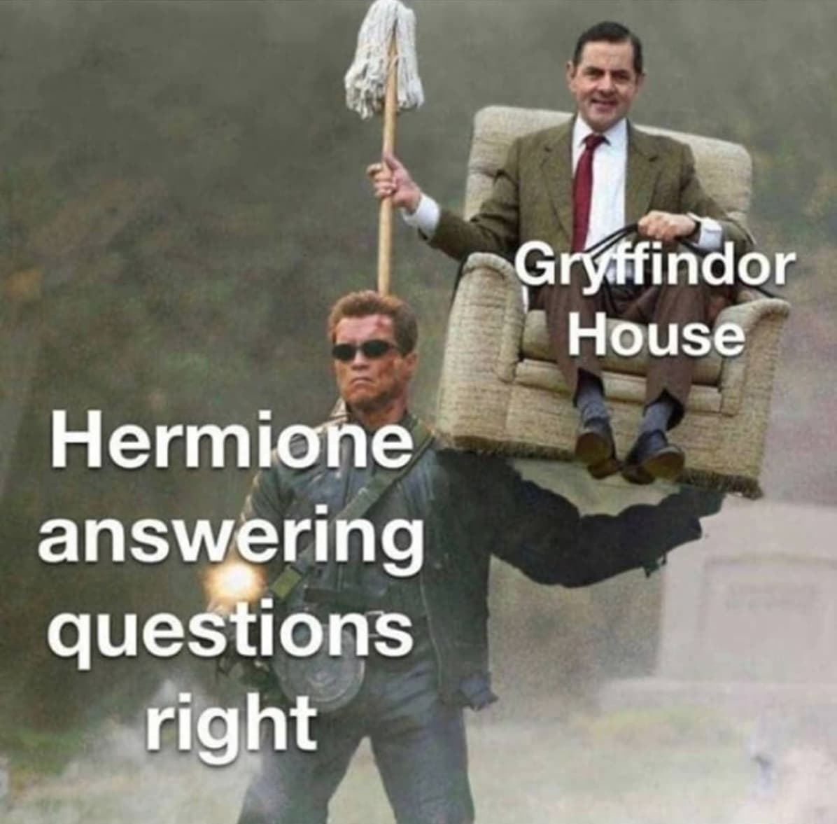 The Best Hermione Granger Memes Out There