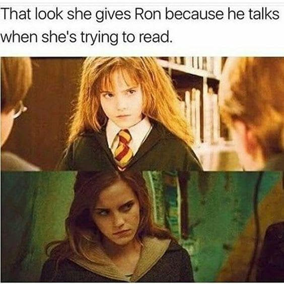 The Best Hermione Granger Memes Out There