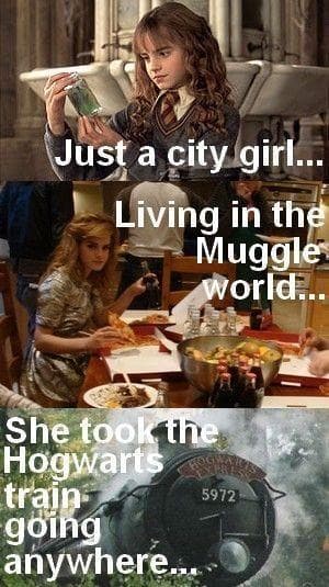 The Best Hermione Granger Memes Out There