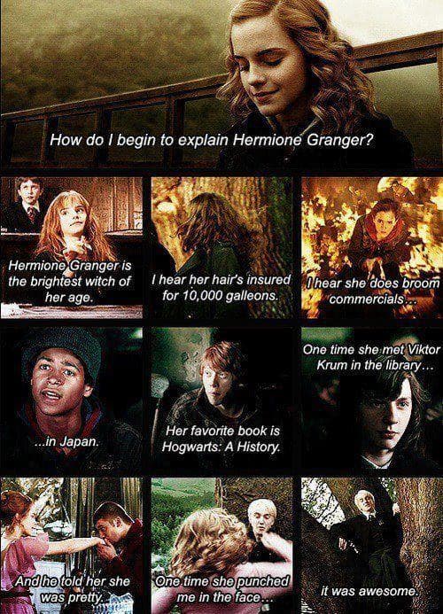 Hermione Granger Memes Dramione Meme | Harry Potter Amino