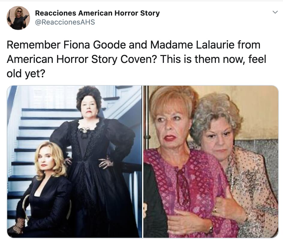 'American Horror Story: Coven' Memes That Had Us Spellbound