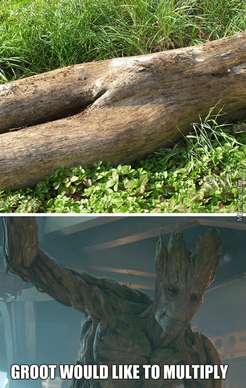 21 Unbe-leaf-ably Funny Groot Memes To Brighten Your Day