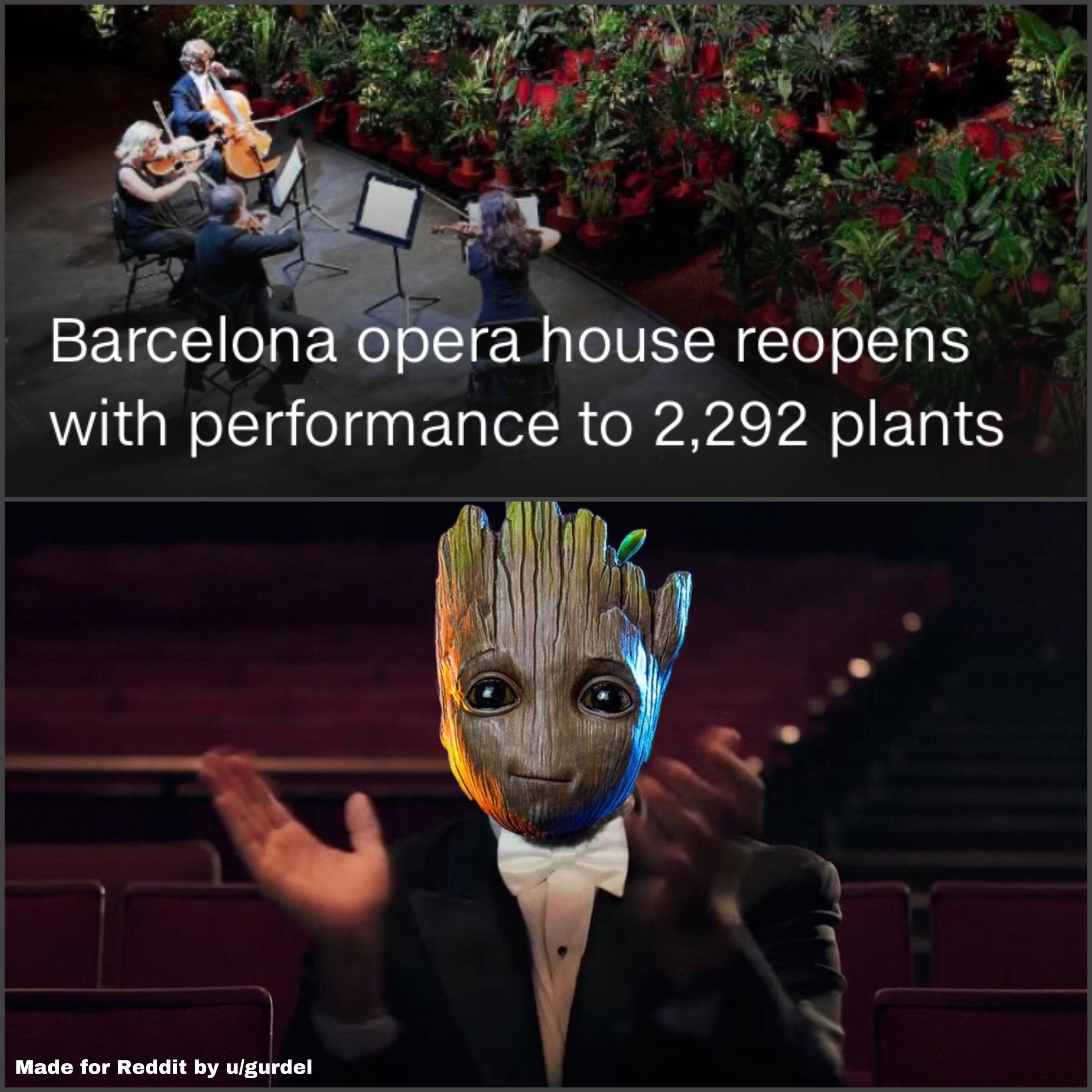 21 Unbe-leaf-ably Funny Groot Memes To Brighten Your Day