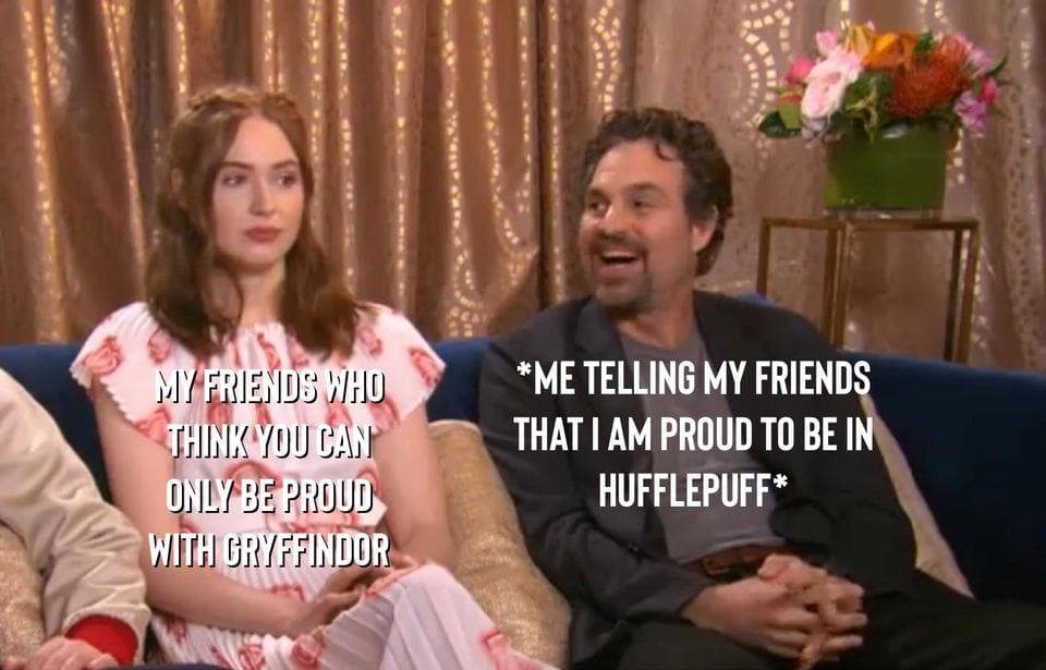 30 Hogwarts House Memes That The Sorting Hat Would Approve Of