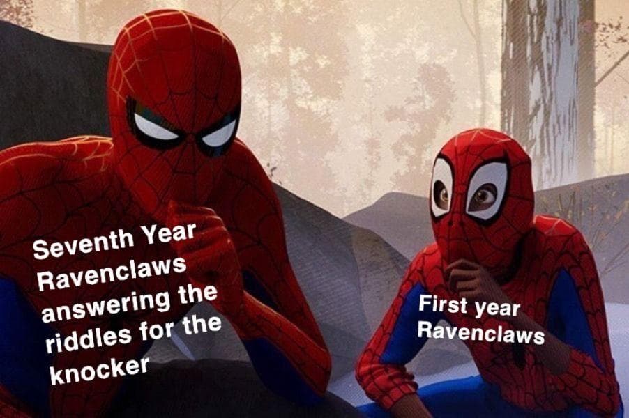30 Hogwarts House Memes That The Sorting Hat Would Approve Of