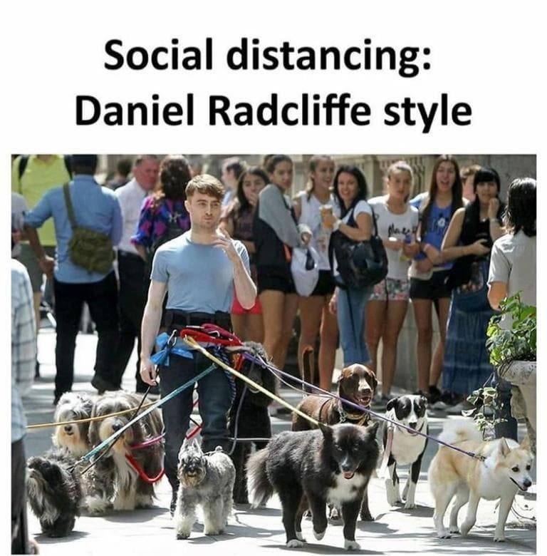17 Funny Daniel Radcliffe Memes That Go Beyond Hogwarts