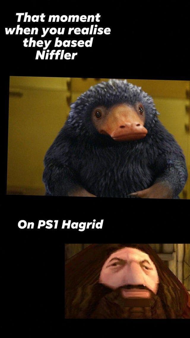 Hilarious Posts & Memes That Dunk On 'Fantastic Beasts And Where To ...