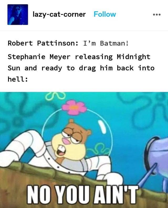 21 Robert Pattinson Memes We Love As Much As He Hates 'Twilight'