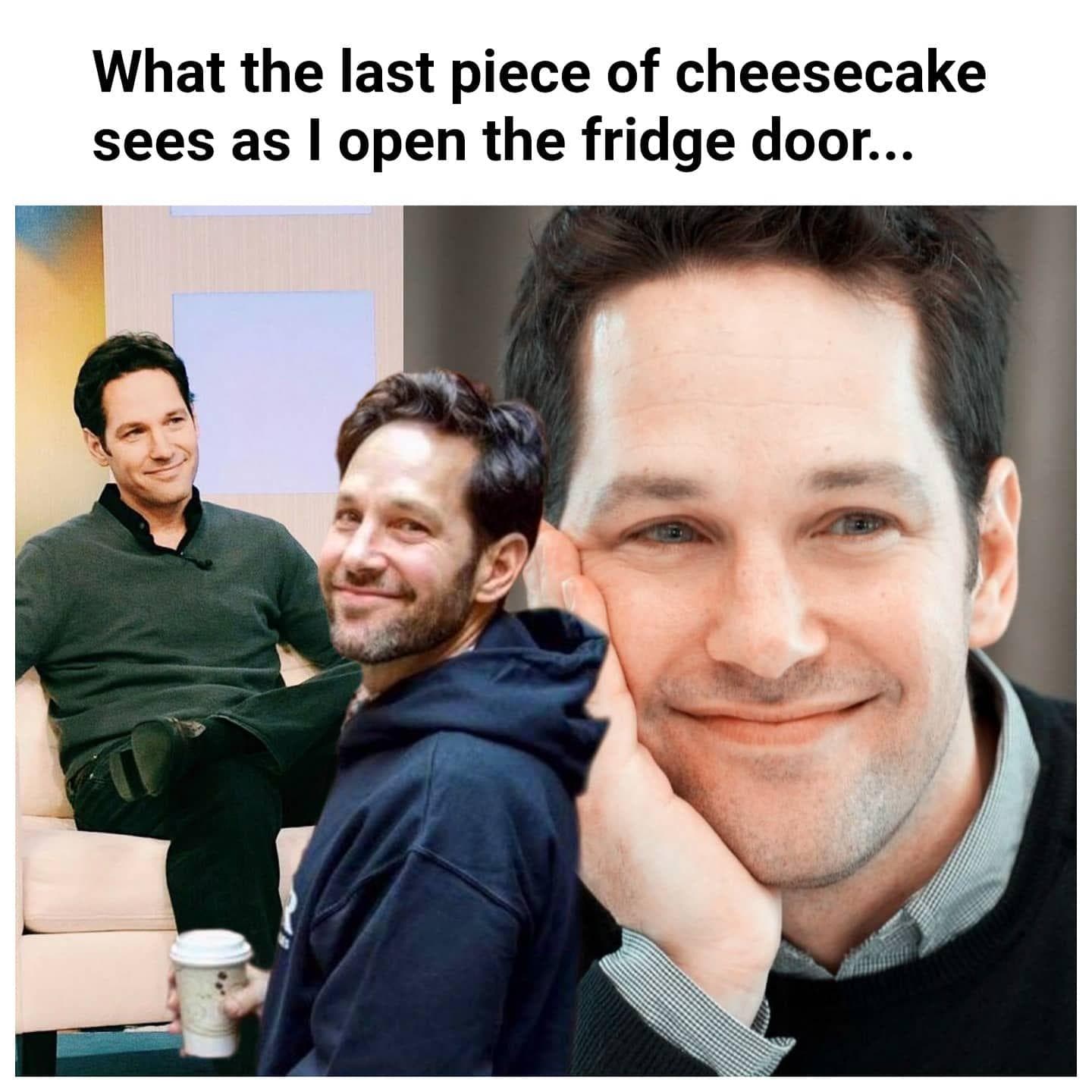 18 Paul Rudd Memes That Prove He's Just As Awesome Off-Screen