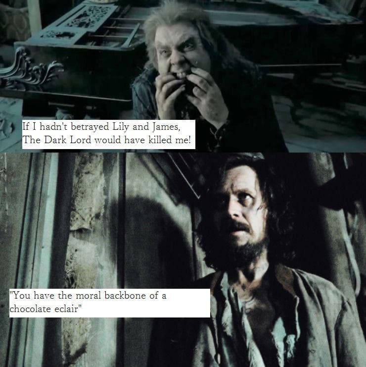 21 'Harry Potter' Memes That Finally Give Sirius Black The Love And And ...