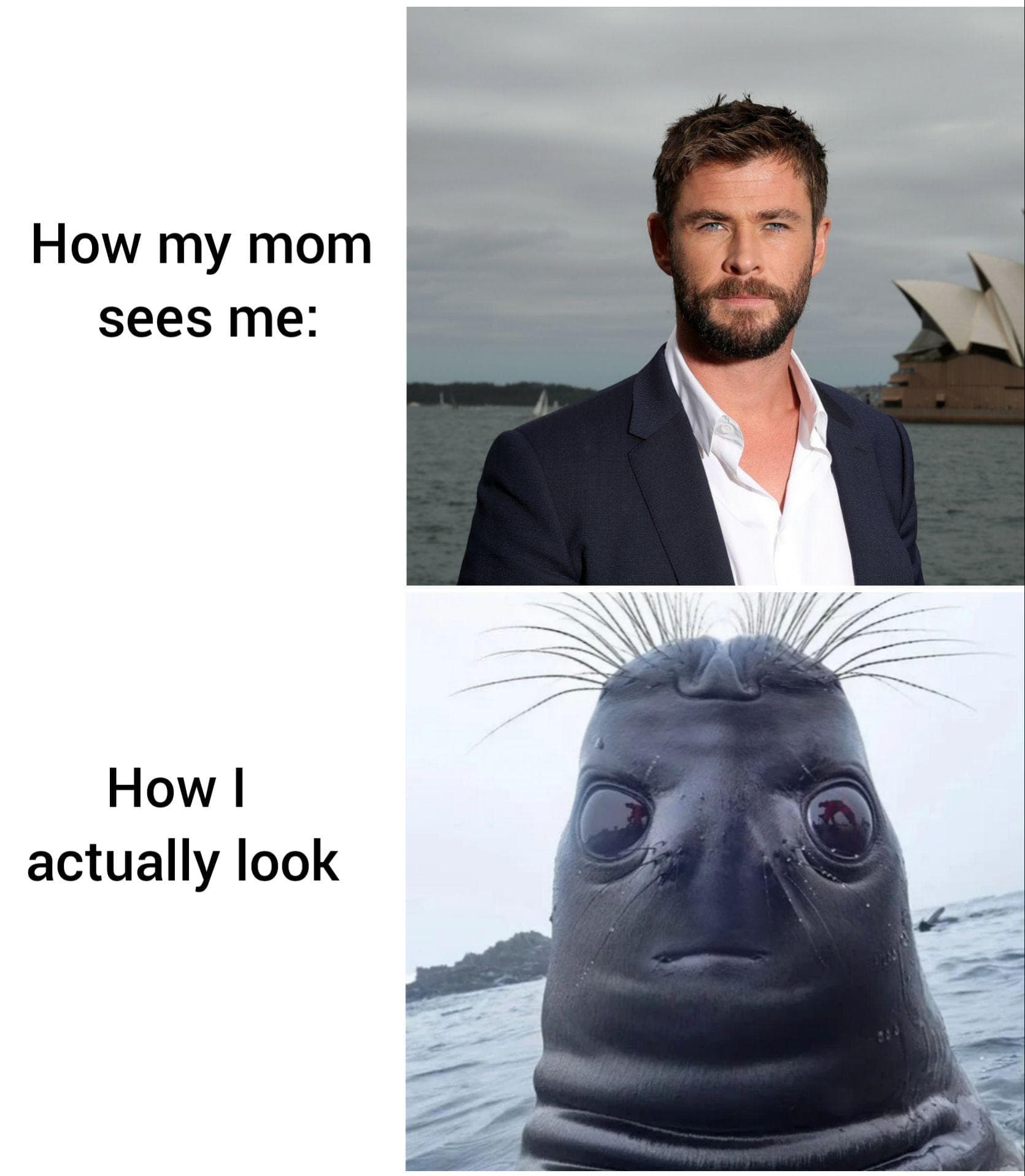 17 Chris Hemsworth Memes For The Aspiring Himbo