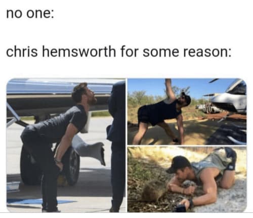 17 Chris Hemsworth Memes For The Aspiring Himbo